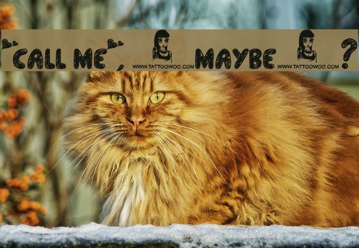 "Call Me", [Maybe]? Font - FFonts.net