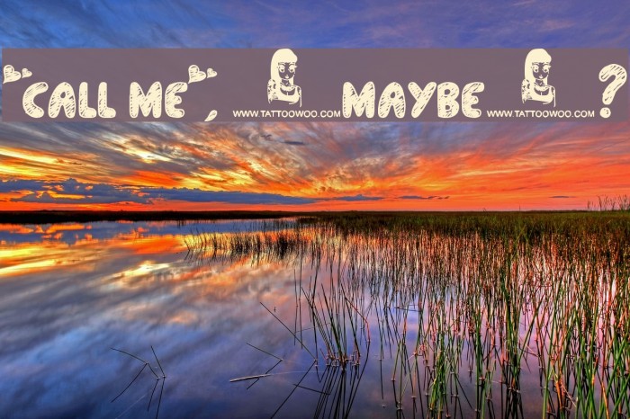 "Call Me", [Maybe]? Font - FFonts.net