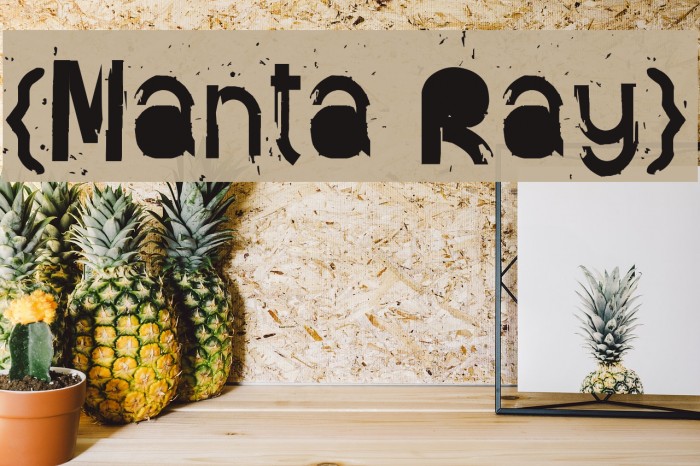 {Manta Ray} Font - FFonts.net