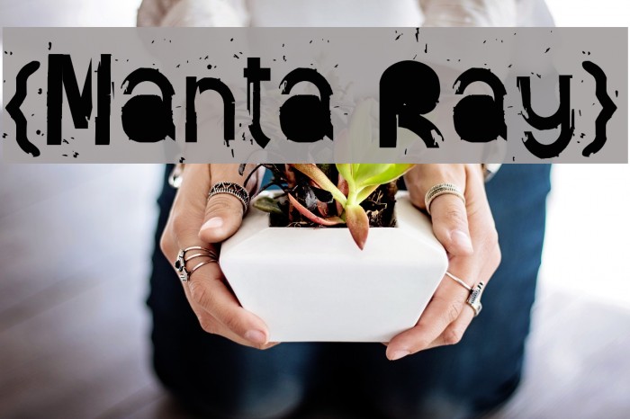 {Manta Ray} Font - FFonts.net