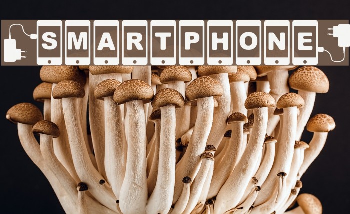 [smartphone] Font - FFonts.net