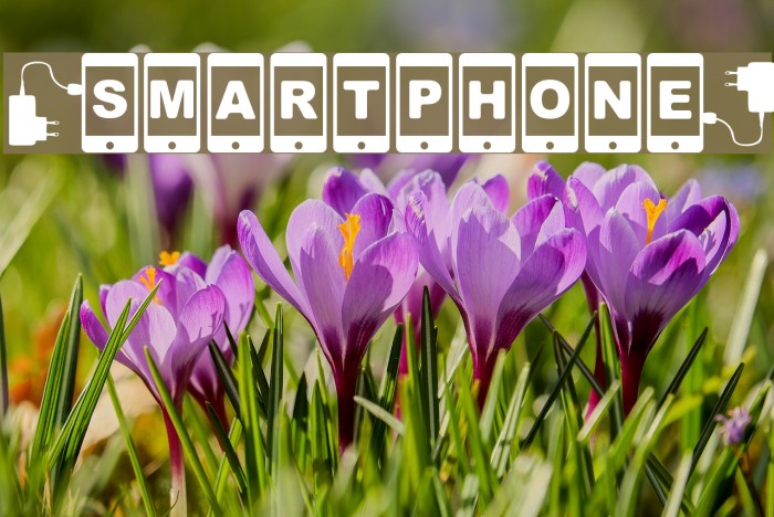 [smartphone] Font - FFonts.net