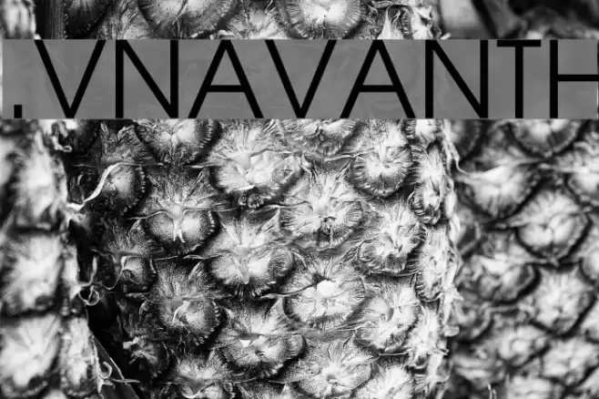 .VnAvantH Font | Free Download (TTF/OTF) | FFonts.net