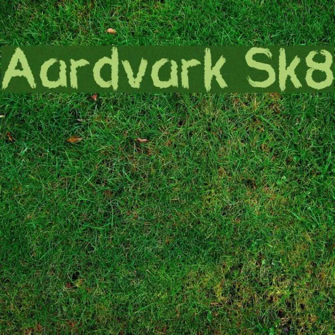 Aardvark Sk8 Font | Free Download (TTF/OTF) | FFonts.net