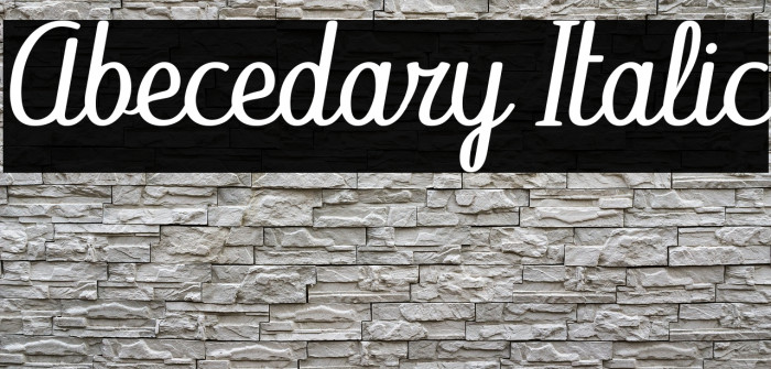 Abecedary Italic Font - FFonts.net