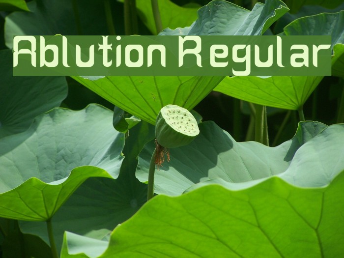 Ablution Regular Font - FFonts.net