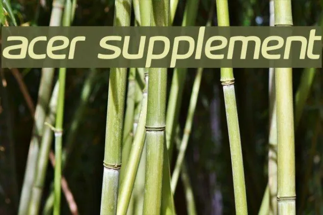 Acer Supplement Font | Free Download (TTF/OTF) | FFonts.net