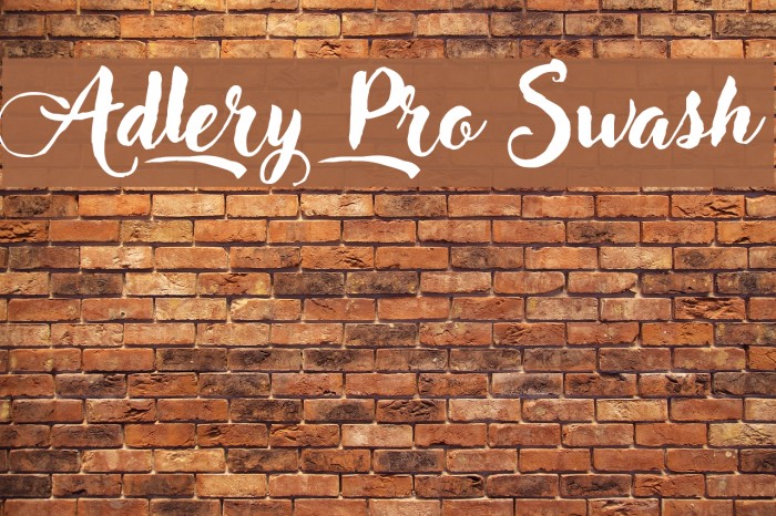 Adlery Pro Swash Font - FFonts.net