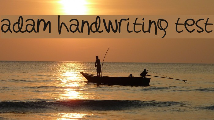 adam handwriting test Font - FFonts.net