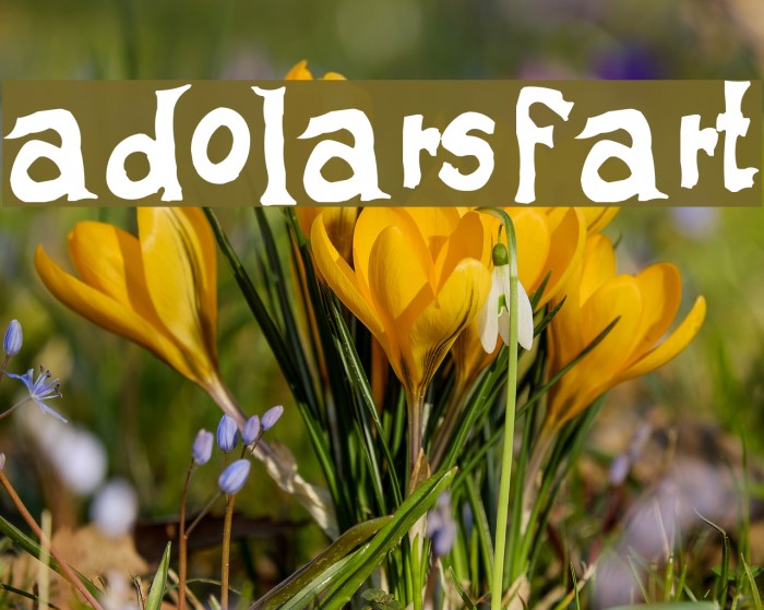 adolars fart Font - FFonts.net