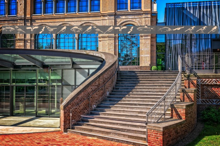 Afrika Safari F Gogga Font - FFonts.net