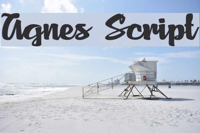 Agnes Script Font - FFonts.net