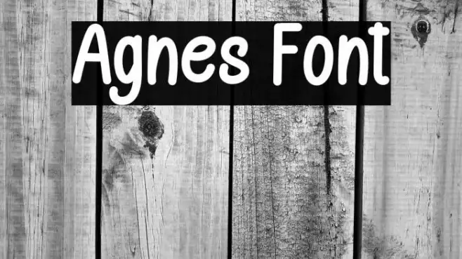 Agnes Font | Free Download (TTF/OTF) | FFonts.net