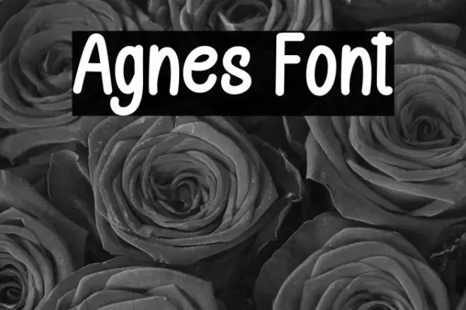 Agnes Font | Free Download (TTF/OTF) | FFonts.net