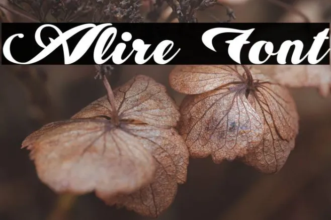Alire Font | Free Download (TTF/OTF) | FFonts.net