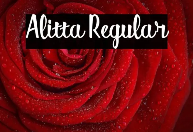 Alitta Regular Font | Free Download (TTF/OTF) | FFonts.net