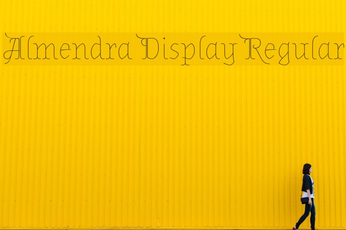 Almendra Display Regular Font - FFonts.net