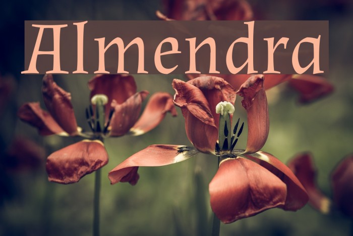 Almendra Font - FFonts.net