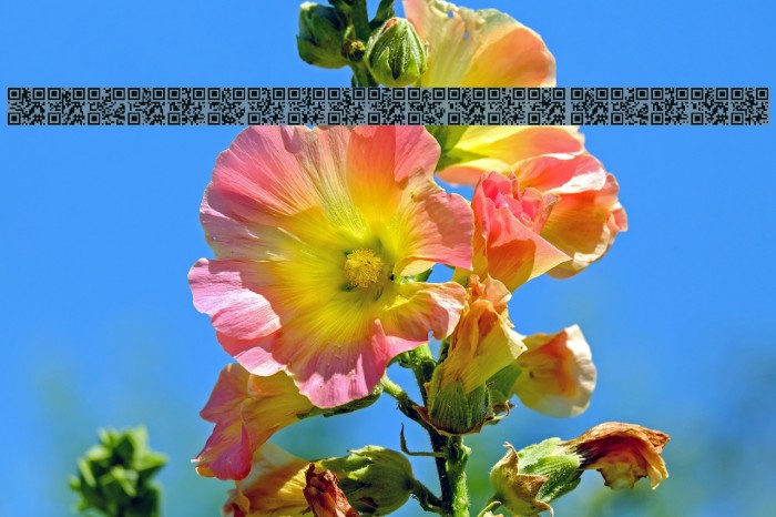 AlphanumericQR Space Font - FFonts.net