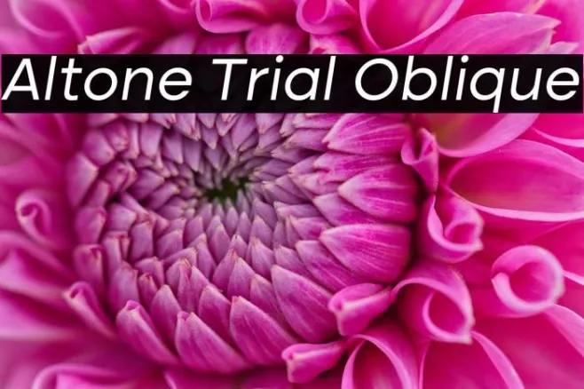 Altone Trial Oblique Font | Free Download (TTF/OTF) | FFonts.net