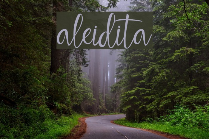 aleidita Font - FFonts.net
