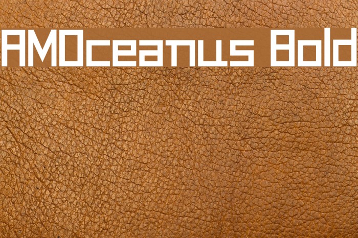AMOceanus Bold Font - FFonts.net