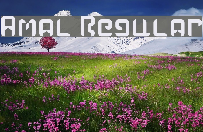 Amal Regular Font - FFonts.net