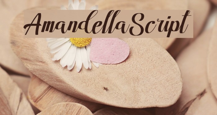 AmandellaScript Font - FFonts.net