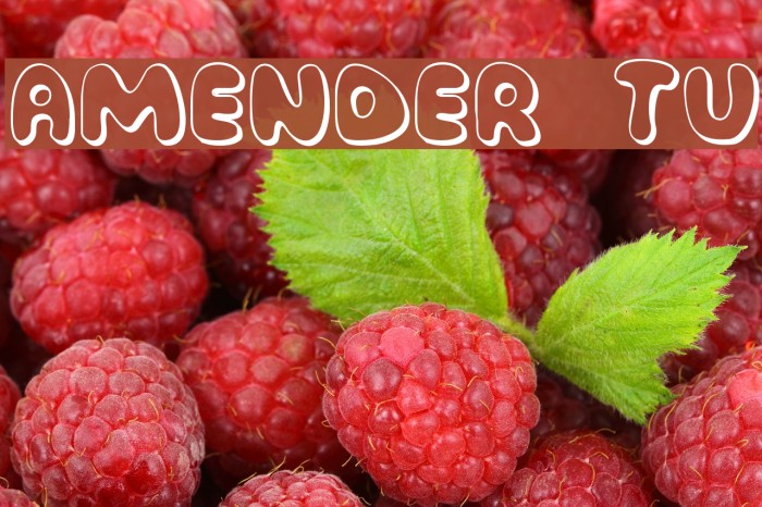 Amender Tu Font - FFonts.net