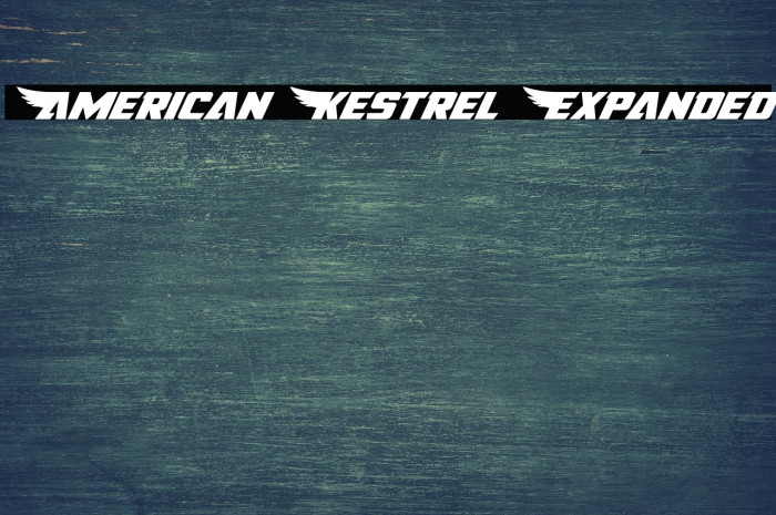 American Kestrel Expanded Font - FFonts.net