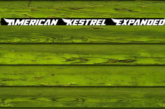 American Kestrel Expanded Font - FFonts.net