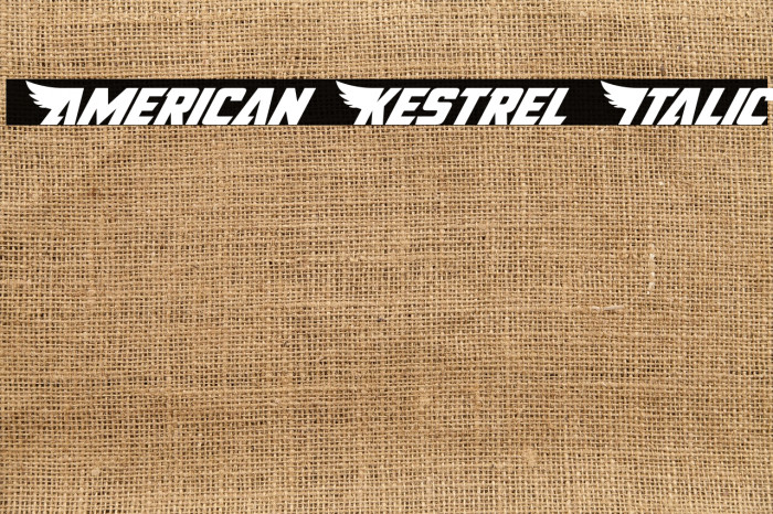 American Kestrel Italic Font - FFonts.net