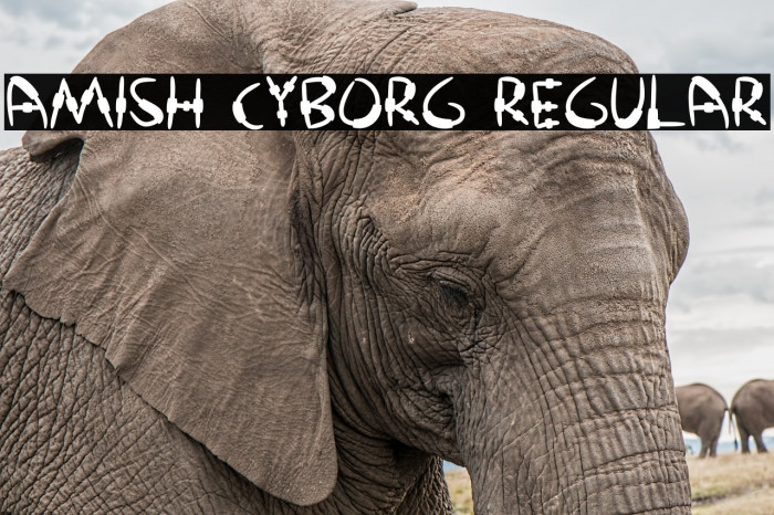 Amish Cyborg Regular Font - FFonts.net
