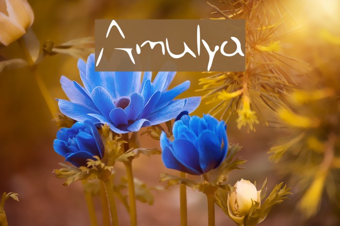 Amulya Font - FFonts.net