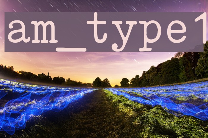 am_type1 Font - FFonts.net