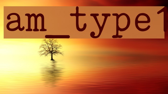 am_type1 Font - FFonts.net