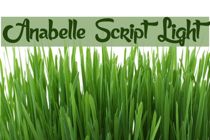 Anabelle Script Light Font - FFonts.net