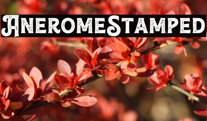 Anerome-Stamped Font | Free Download (TTF/OTF) | FFonts.net