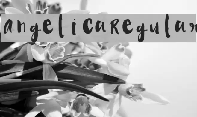 Angelica-Regular Font | Free Download (TTF/OTF) | FFonts.net