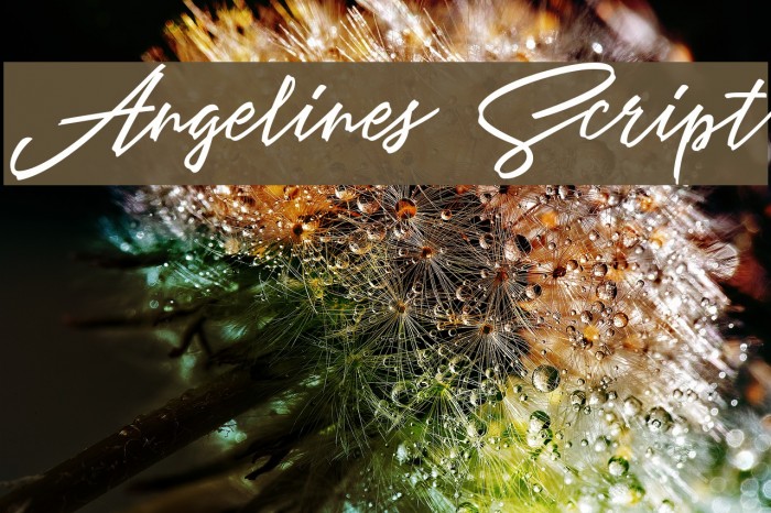 Angelines Script Font - FFonts.net