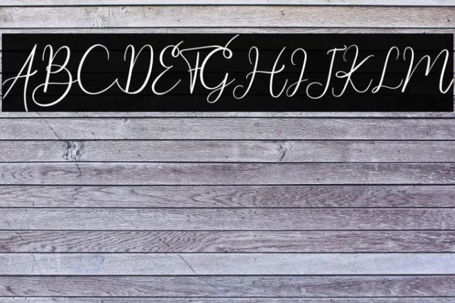 Angellyne Font | Free Download (TTF/OTF) | FFonts.net