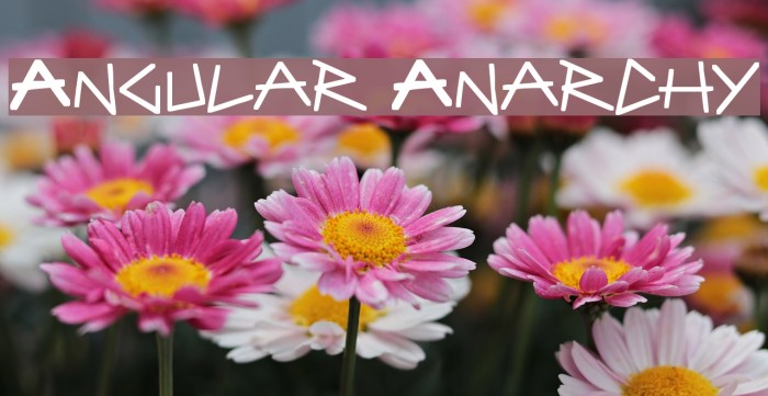 Angular Anarchy Font - FFonts.net