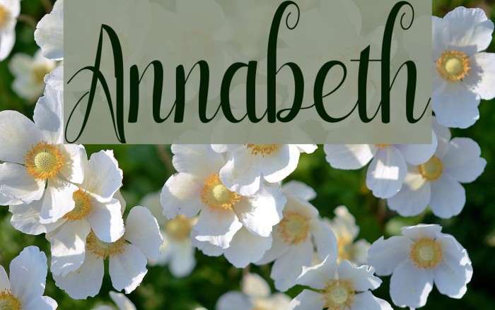 Annabeth Font - FFonts.net