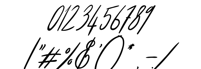 Annie Signature Font - FFonts.net