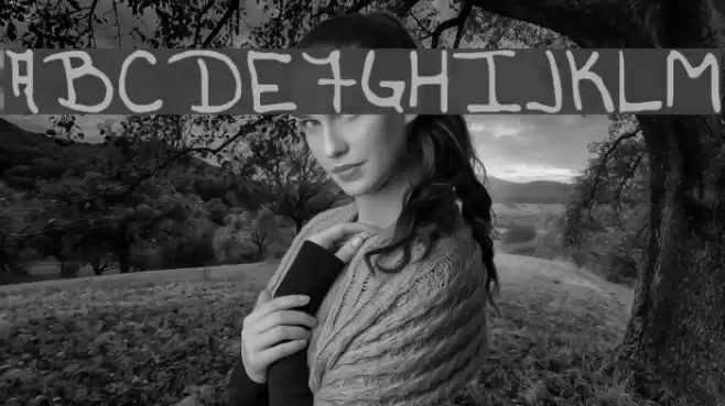 Annie Font | Free Download (TTF/OTF) | FFonts.net