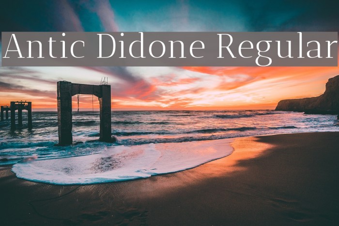 Antic Didone Regular Font - FFonts.net