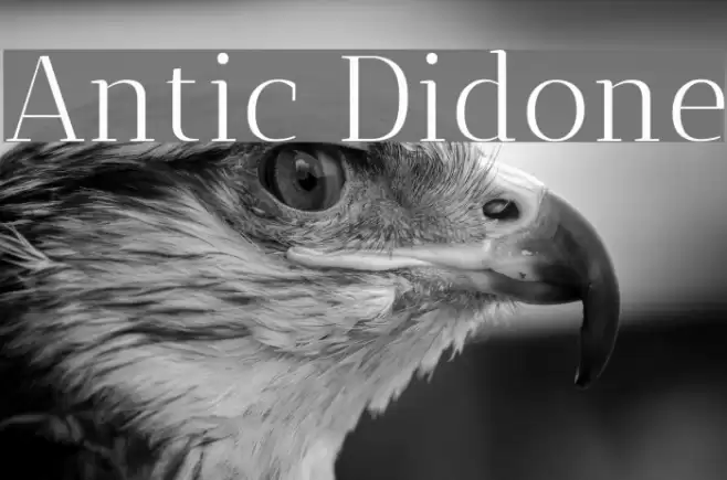Antic Didone Font | Free Download (TTF/OTF) | FFonts.net
