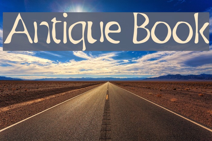 Antique Book Font - FFonts.net