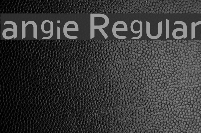 angie Regular Fuente - FFonts.net