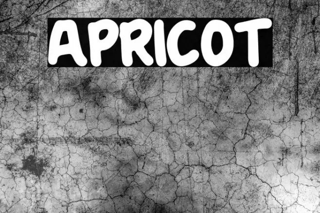 Apricot Font | Free Download (TTF/OTF) | FFonts.net
